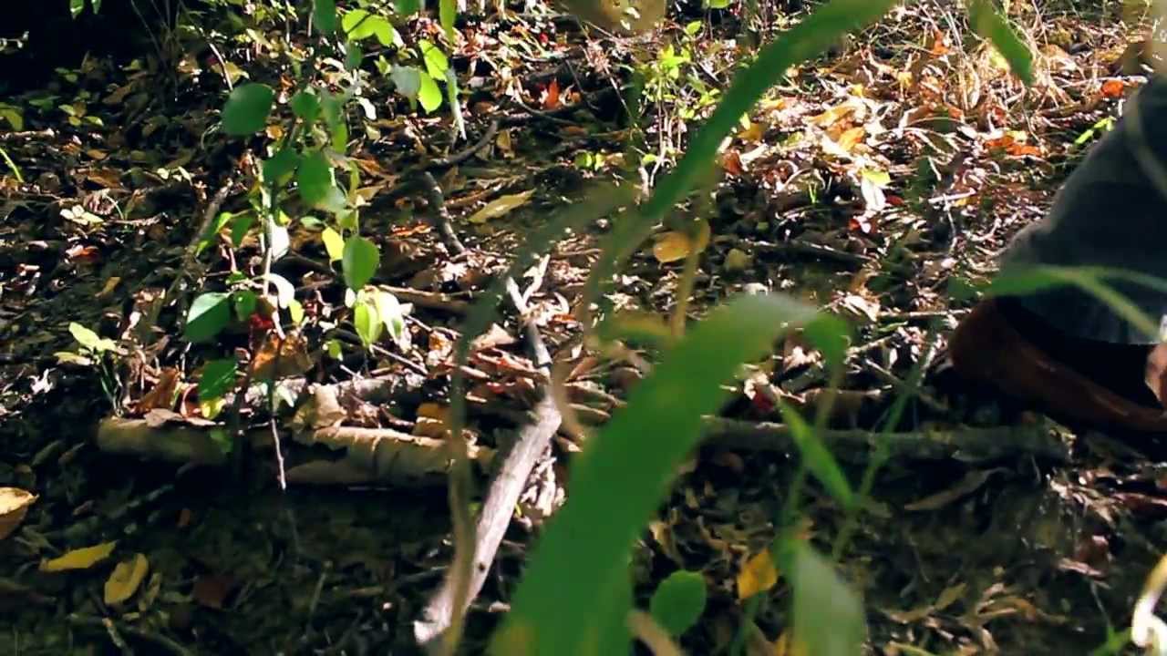 The Tale of the Two Lumberjacks - YouTube