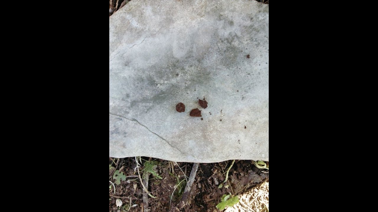 Rudiger Roll Dung - How to make fire with Rabbit Poo - Fire Roll ...