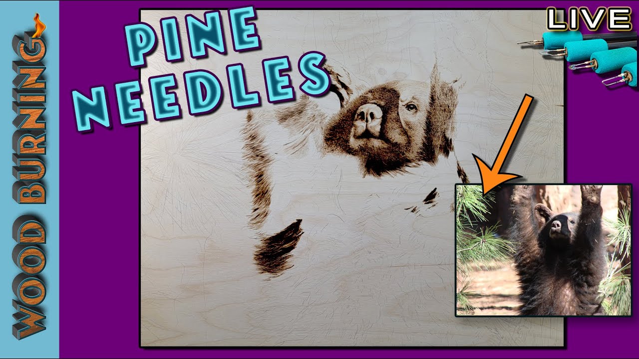 Pyrography: Wood Burning a Black Bear Cub// How to Wood Burn Pine ...
