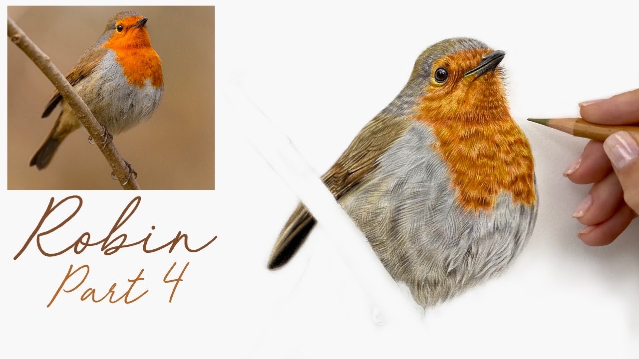 Christmas Drawing Tutorial - Robin Part 4 - YouTube