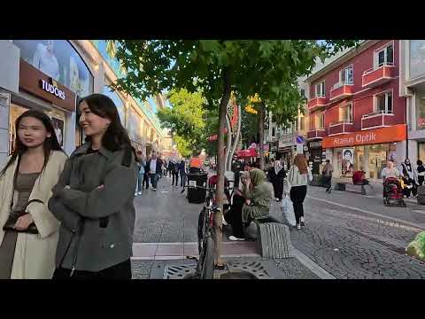 Yalova - Şehir Merkezi