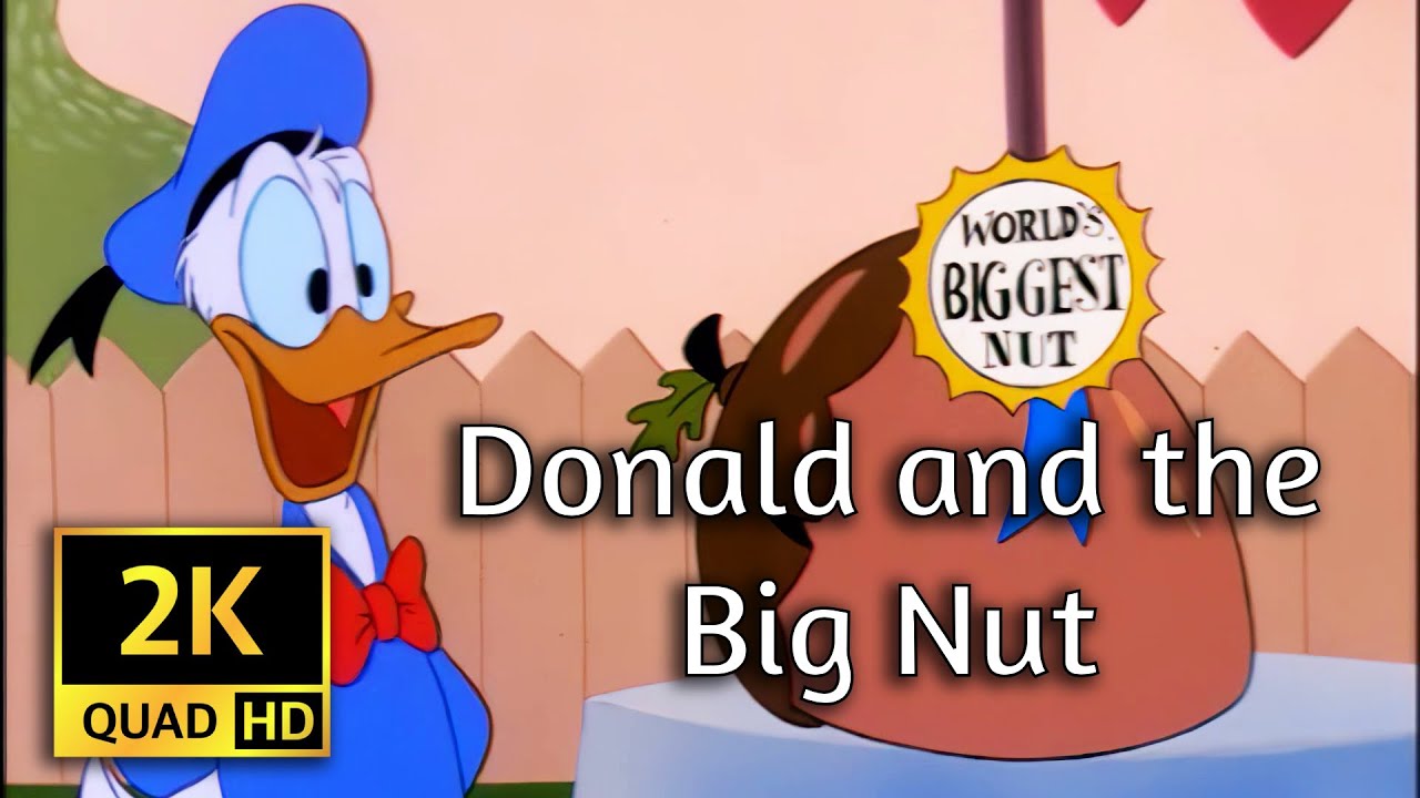 "Donald and the Big Nut" from Mickey Mouse Works (2K Quad HD Upscale ...