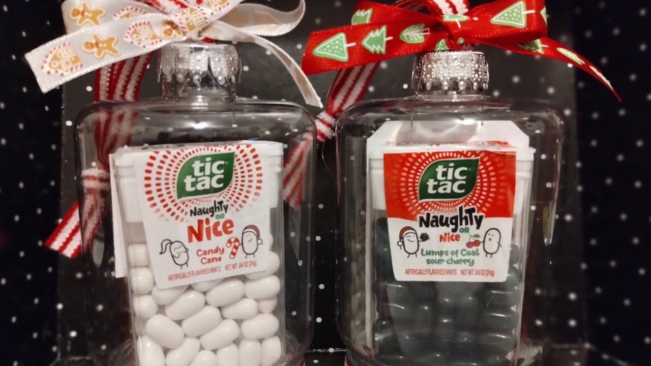 Craft show concept # 11! 🎁 ️🎅Snow Globe Naughty/Nice Grab -N-Go gift ...