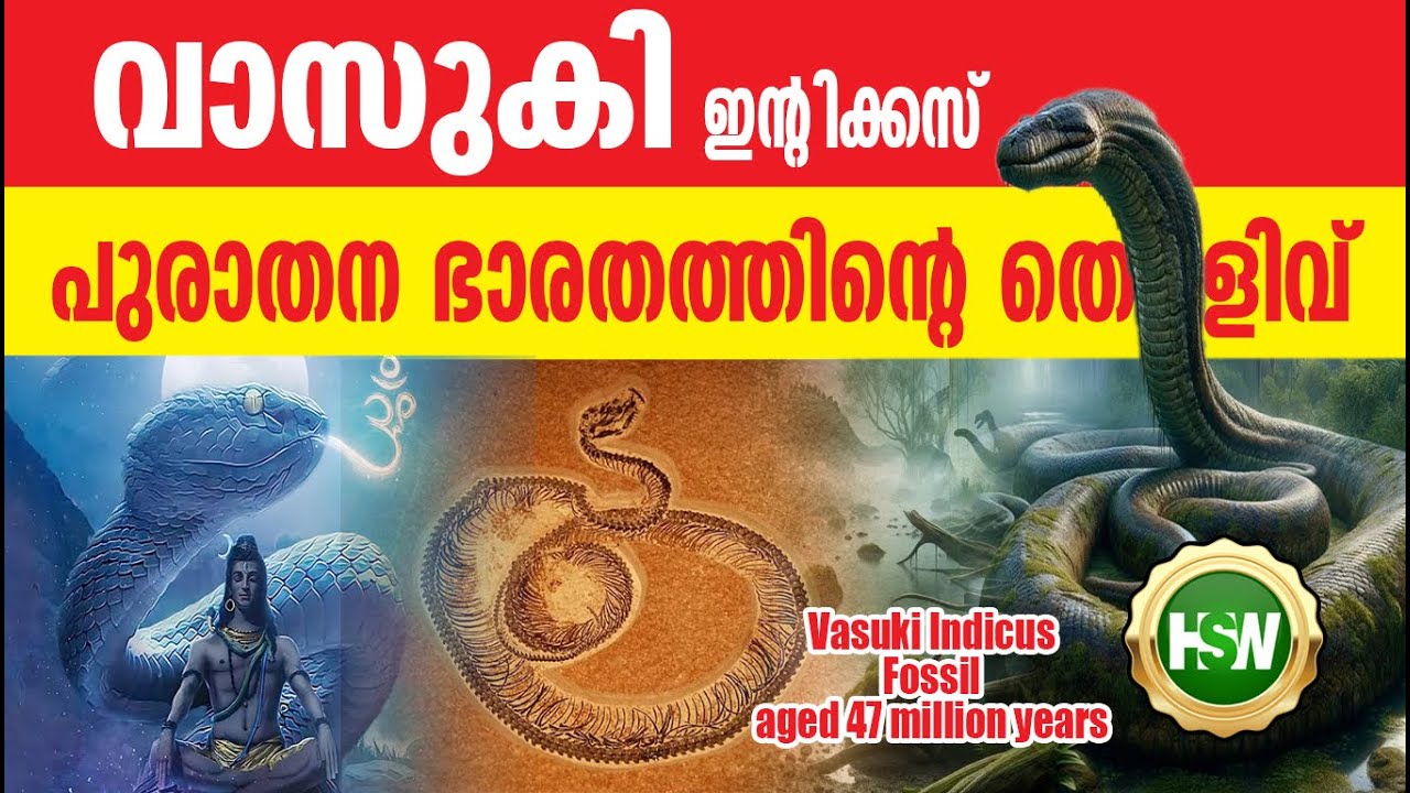 വാസുകി💯 Vasuki Indicus- Scientists discover enormous fossil of the ...