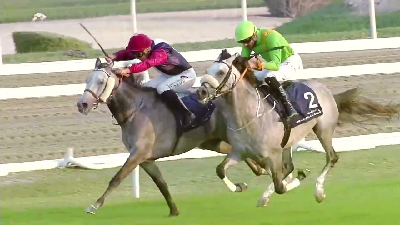 Al Ehdaashari - by AF Albahar - 1400m - 3y - 2021/2022 - YouTube