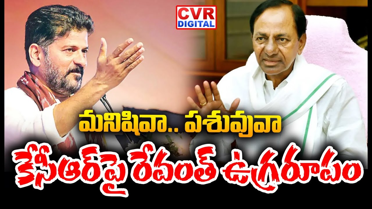 మనిషివా.. పశువువా కేసీఆర్ పై రేవంత్ ఉగ్రరూపం | Revanth Reddy Shocking Comments On KCR | CVR ...