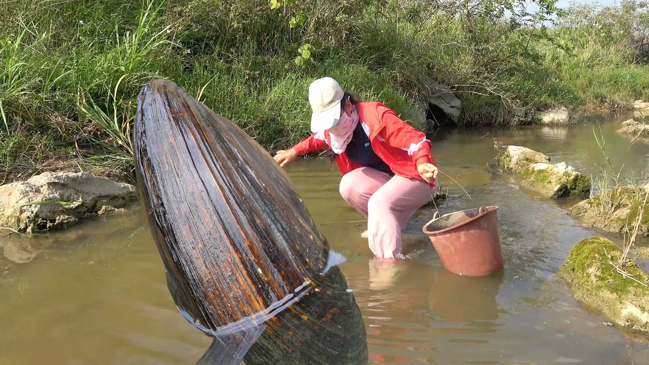 The girl found a rare pearl while fishing for a clam, which was amazing ...