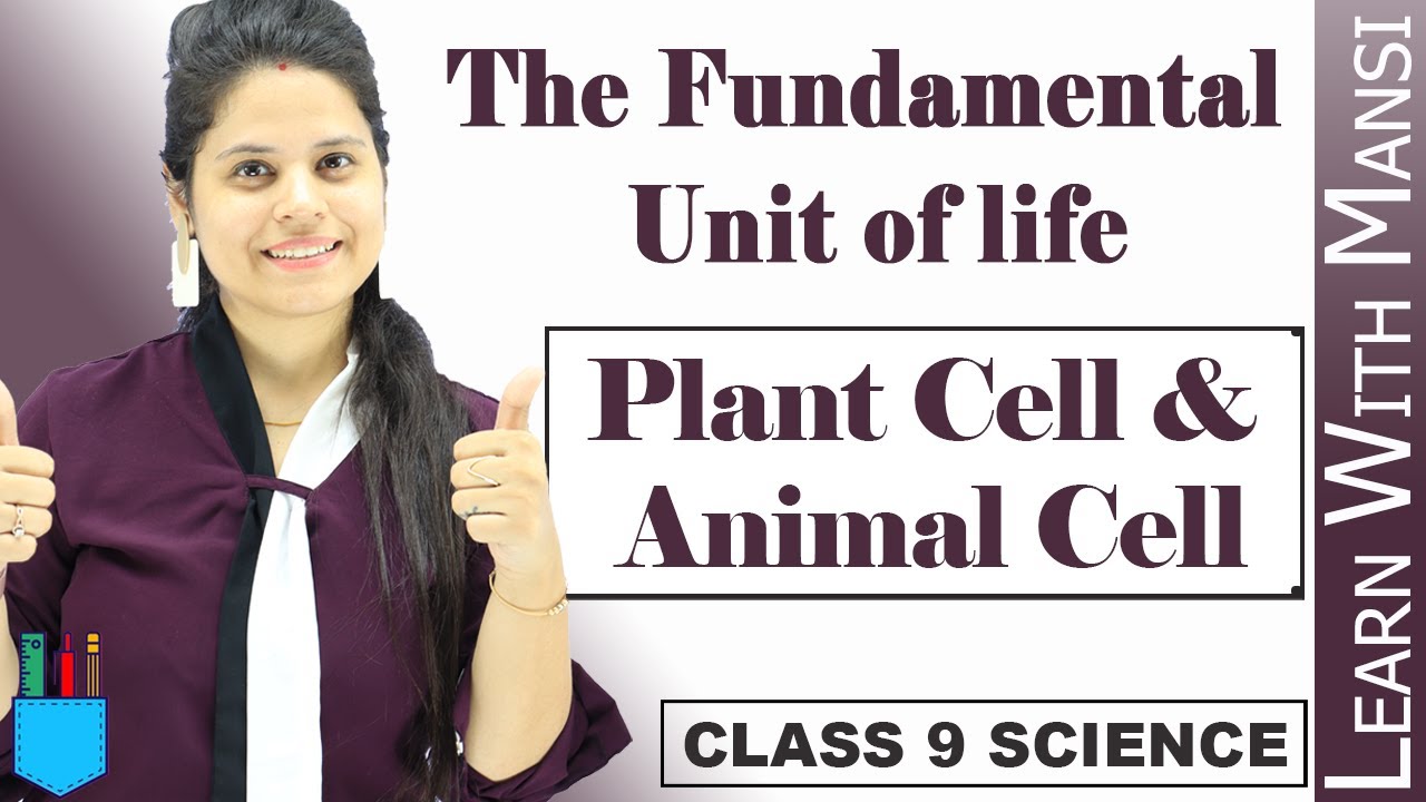 Plant Cell & Animal Cell | Chapter 5 | The Fundamental unit Of Life ...