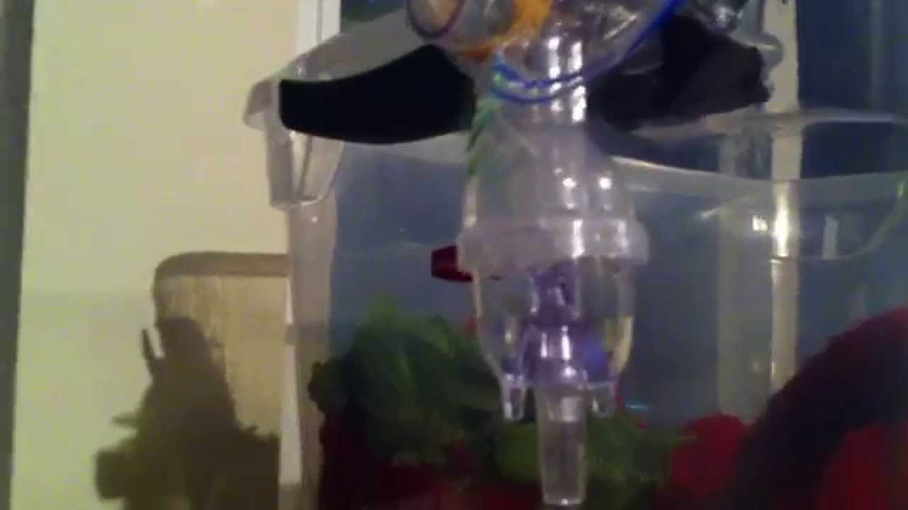 Rabbit Nebulizer Box - Part 1 - YouTube