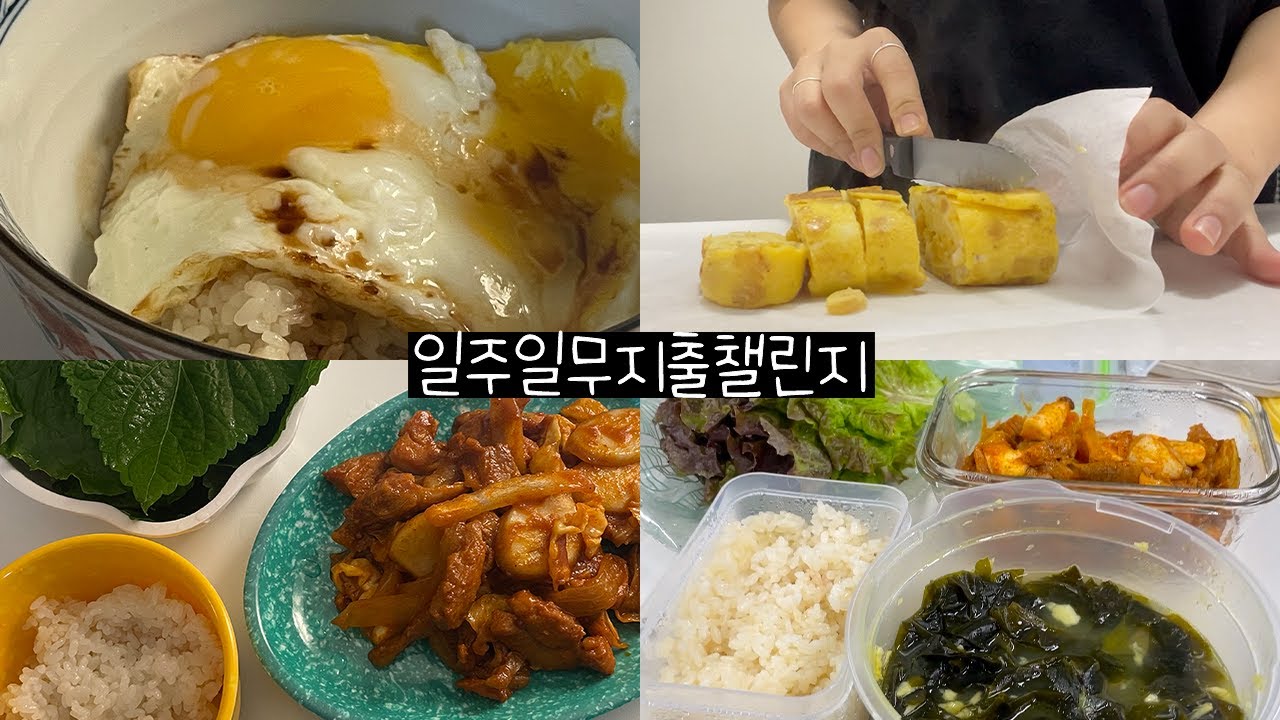 Vlog일주일에 30만원 쓴 직장인 일주일 무지출챌린지 브이로그 직장인브이로그 먹방브이로그 집밥해먹기 절약브이로그