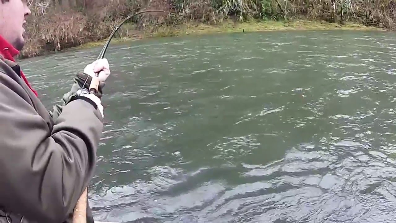 Alsea River Fishing Map