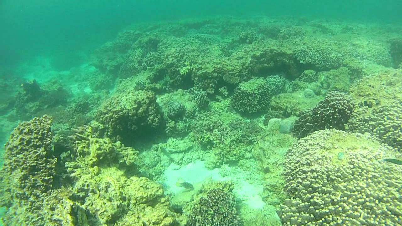 Qaruh Island 30 / 6 / 2012 - YouTube