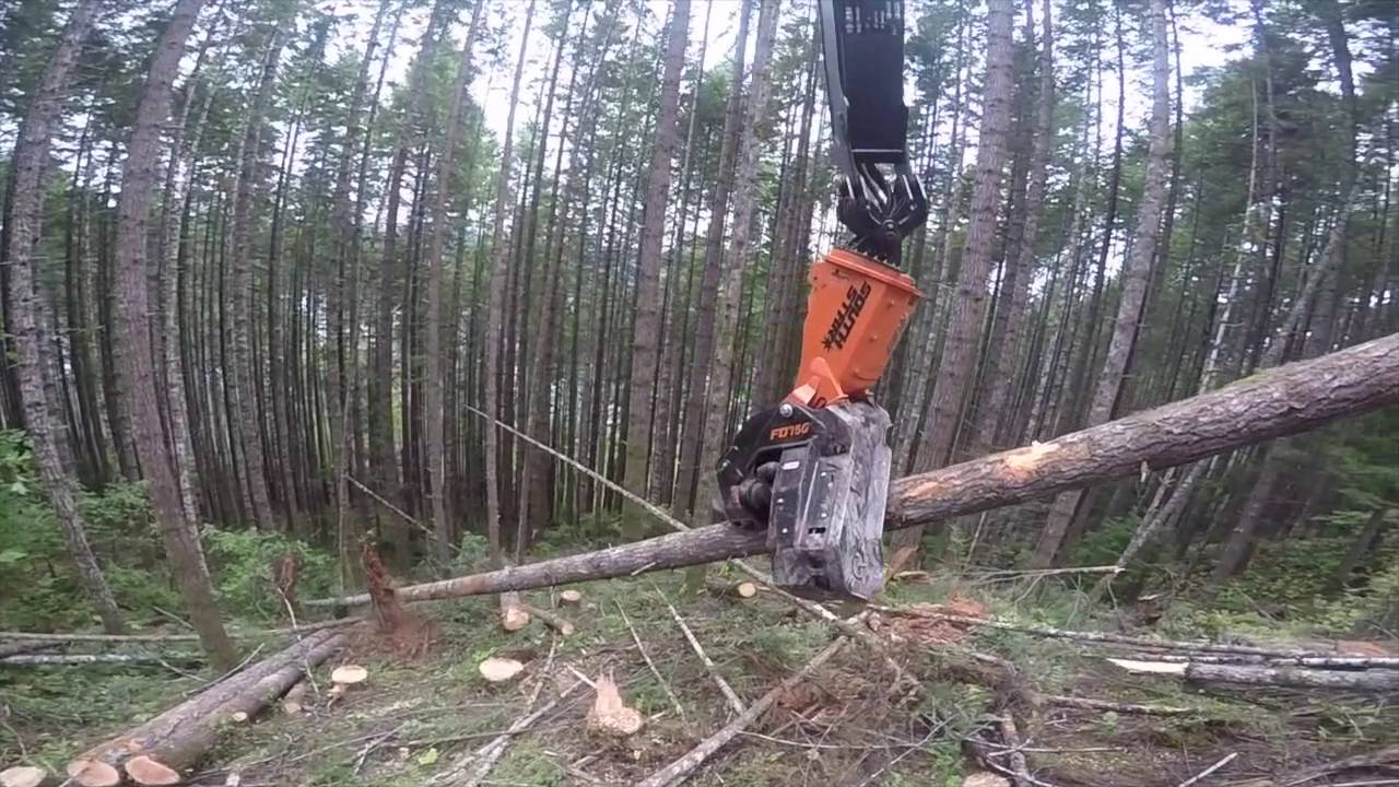 TimberPro TL765C with a SouthStar .FD750 Felling Head tithered to a ...