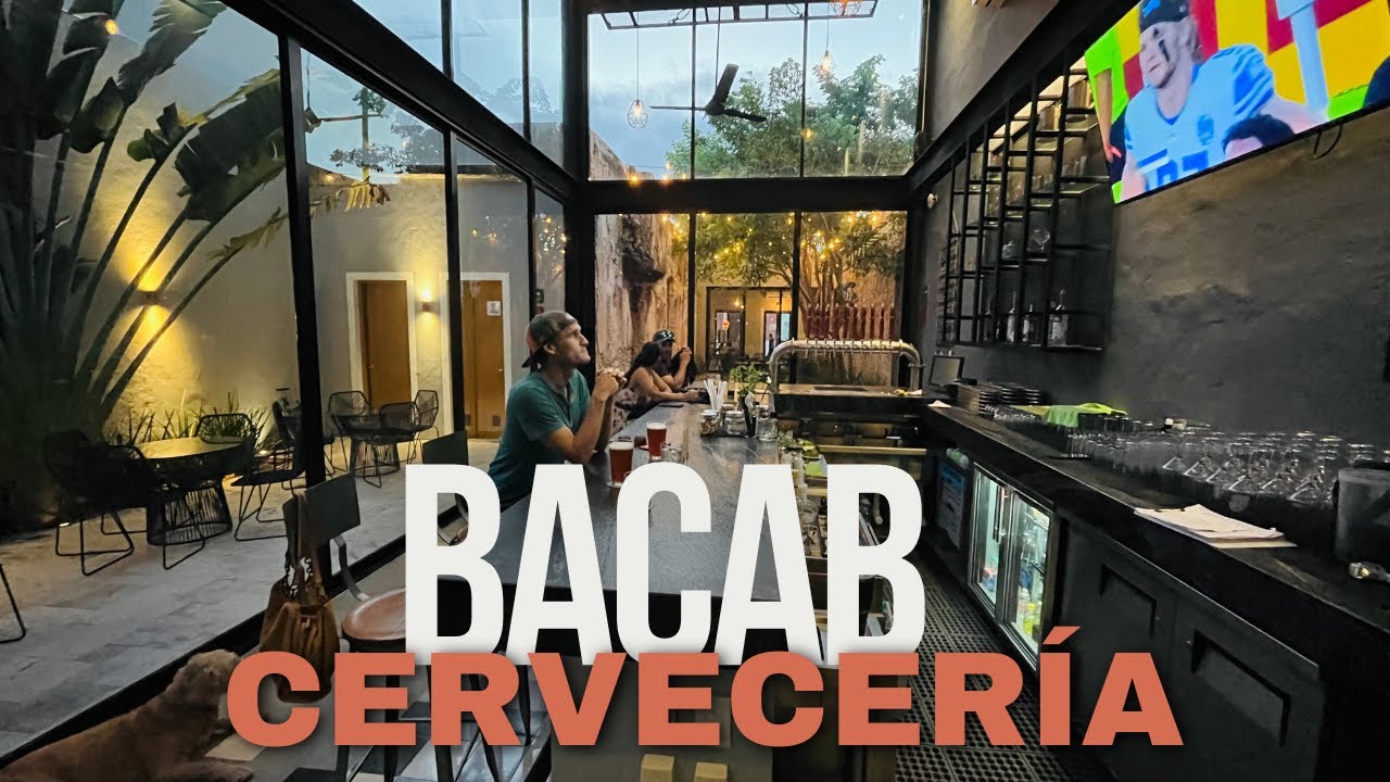 Bacab Cerveceria- Great Craft Beer in the heart of Merida! - YouTube