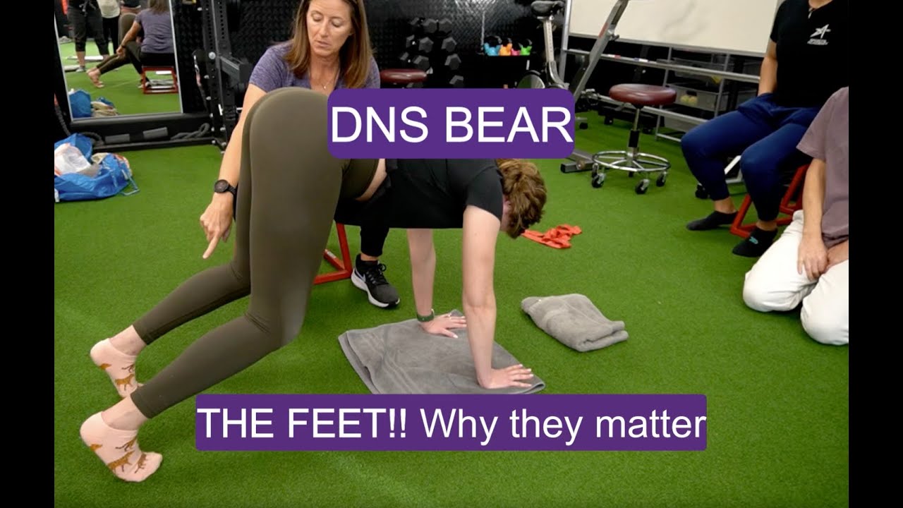 DNS Bear - Why the feet matter - YouTube