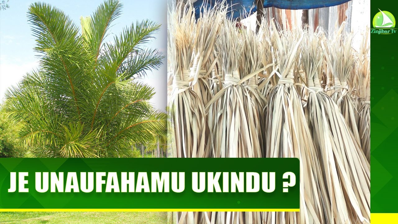 JE UNAUFAHAMU UKINDU - YouTube