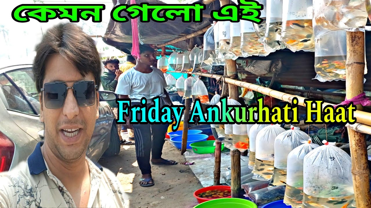 রঙিন মাছের হাট অঙ্কুরহাটি | Ankurhati Fish Pet Market | Howrah ...