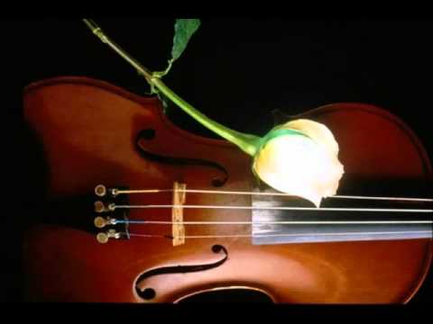 Sergey Amirdzhanyants- Skripka