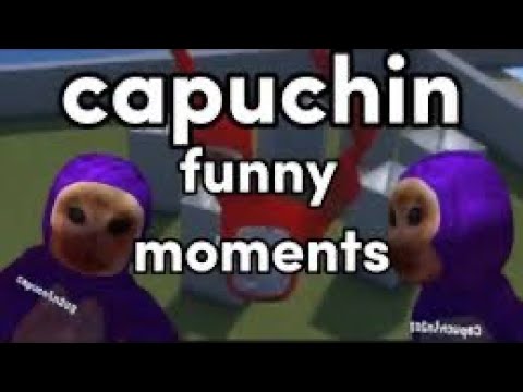 18 Minutes and 21 Seconds Of Crappy Capuchin Memes I Got From TikTok ...