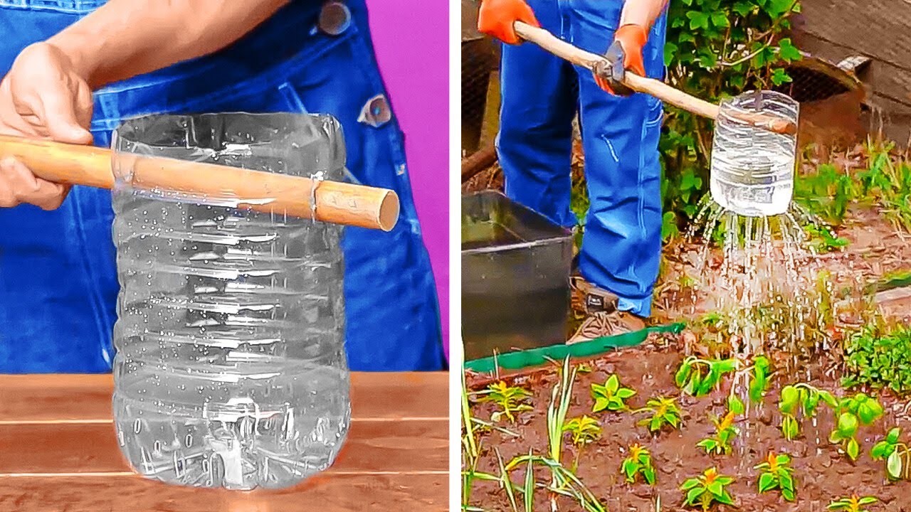 Genius Plant Hacks And Effective DIY Gadgets For Your Garden - YouTube