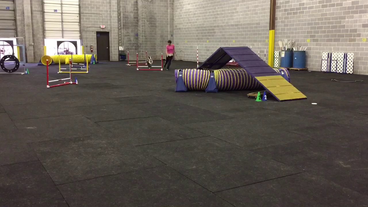 Rush Aframe Training 5/1/17 - YouTube