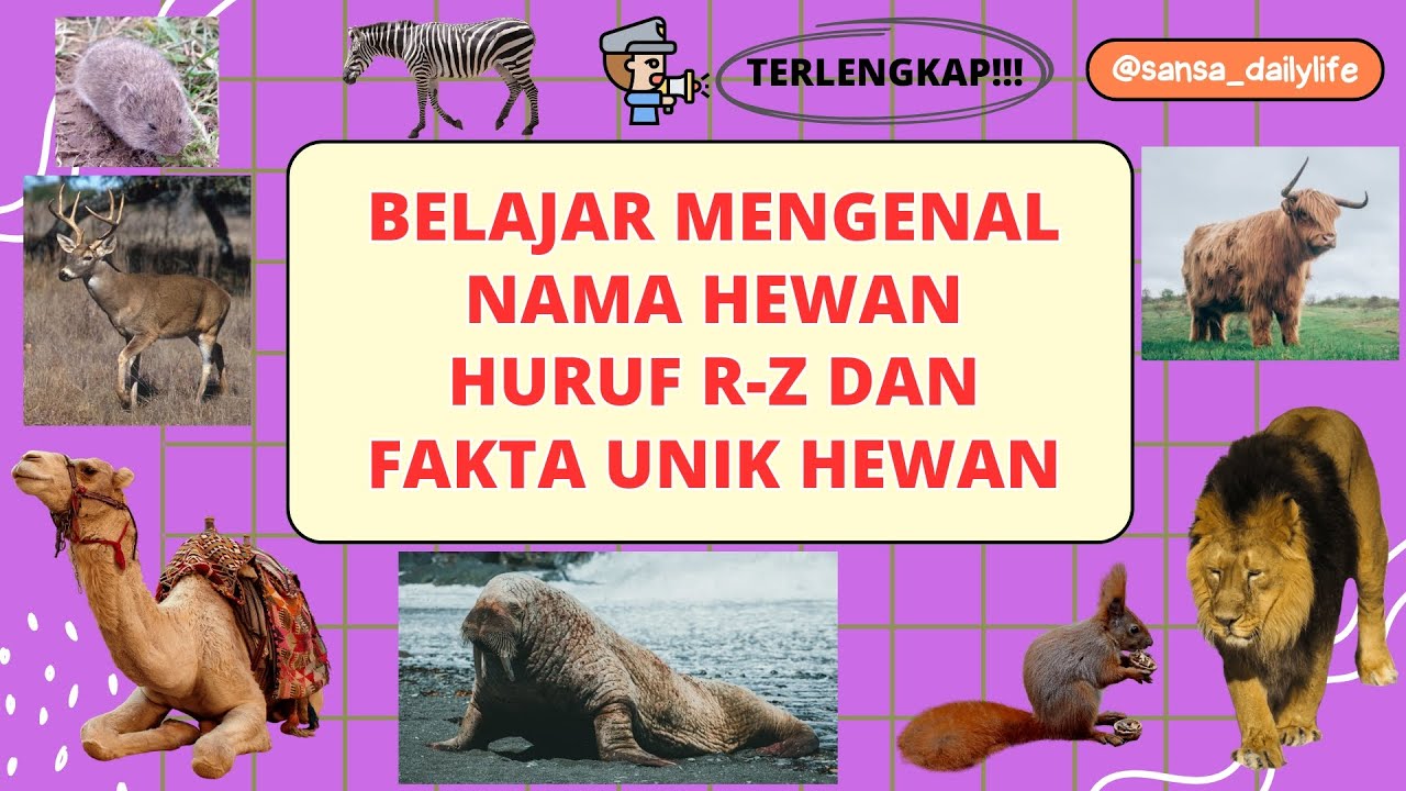 MENGENAL FAKTA UNIK HEWAN HURUF R-Z• VIDEO ANAK • LEARNING ANIMALS ...