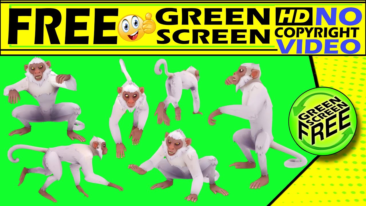 Monkey | green screen | monkey | funny monkey | types of monkeys |snow ...