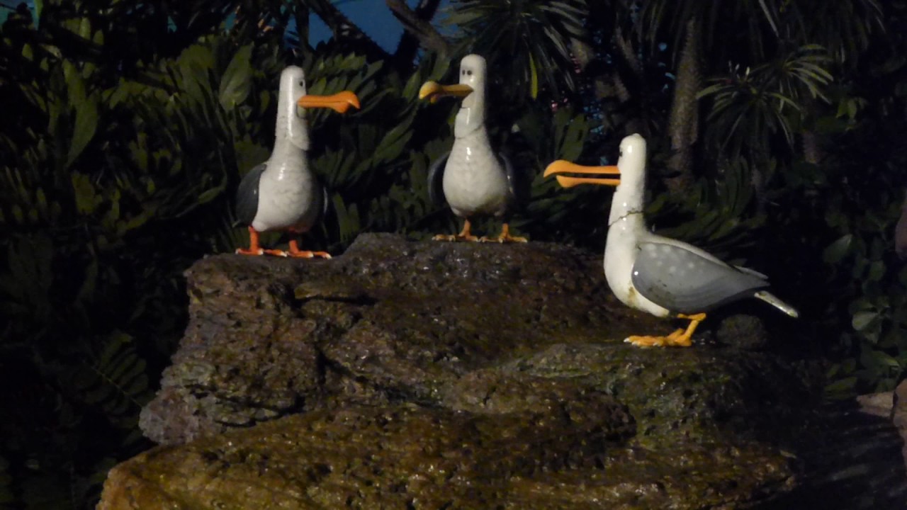 Finding Nemo Seagulls - YouTube