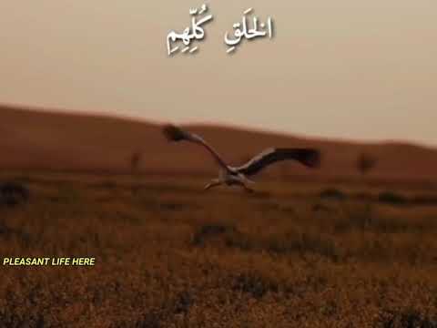Qasida Burda Shareef | Heart ❤ Touching Status