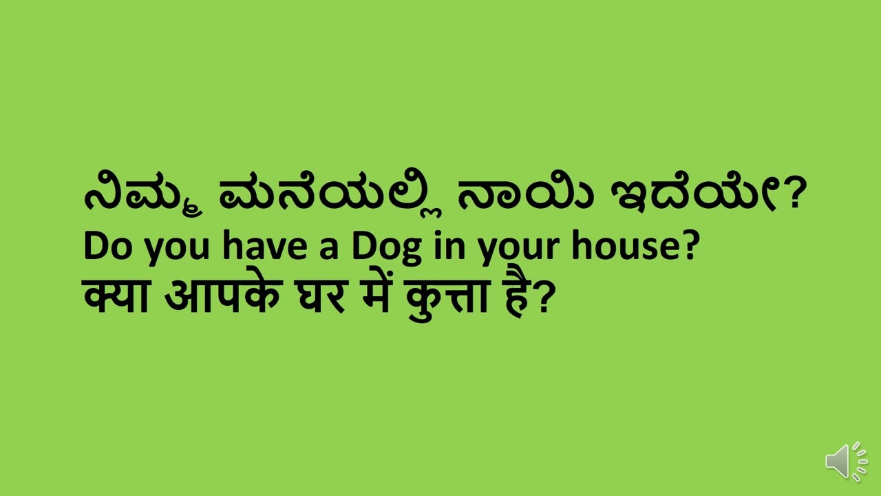 Learn 15 Sentences Daily Part 5 Daily Use Sentences Hindi English learn-15-sentences-daily-part-5-daily-use-sentences-hindi-english