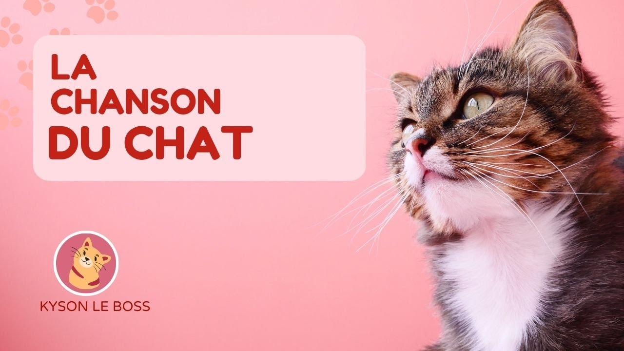 ️ Kyson Le Boss - La chanson du chat - YouTube