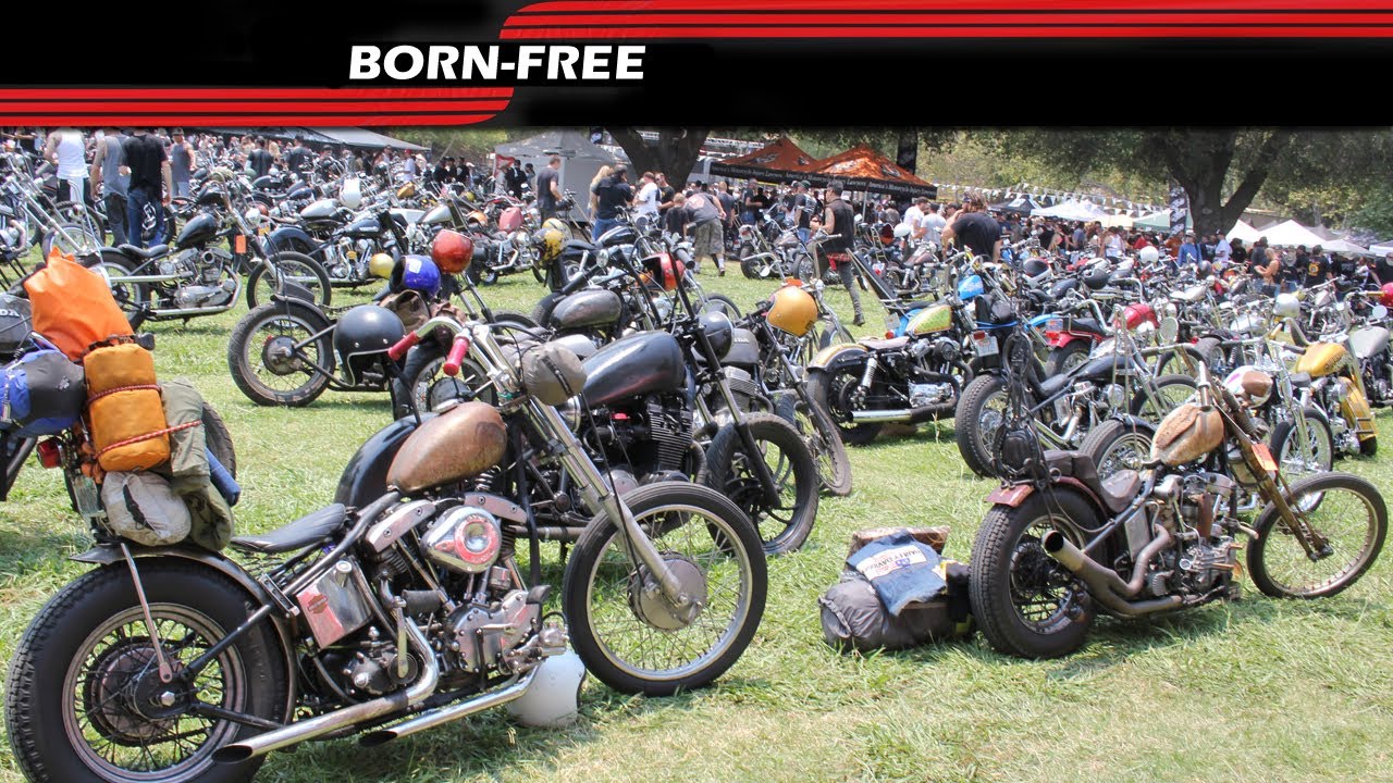 Born Free 5 - YouTube