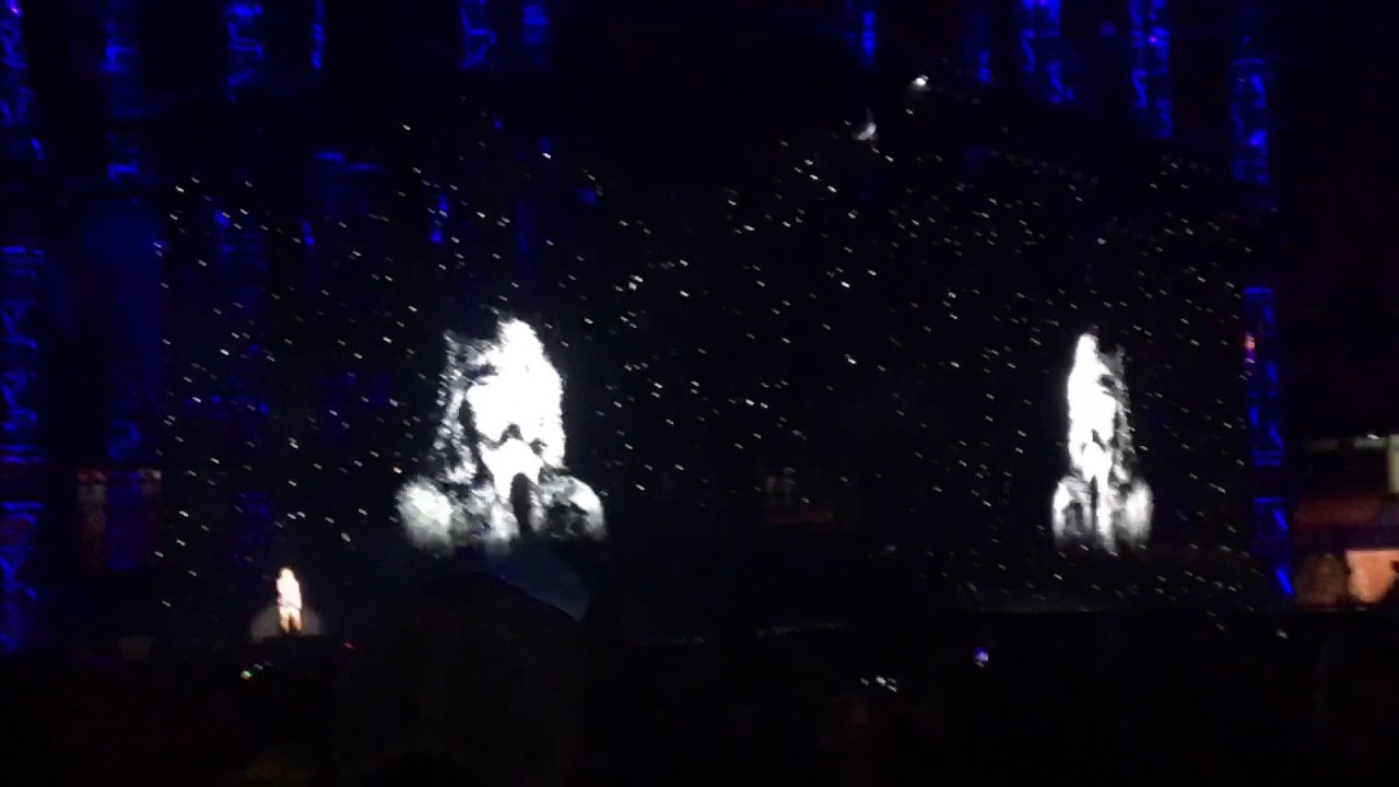 [B Stage Floor] Taylor Swift talking to the crowd at Reputation Tour ...