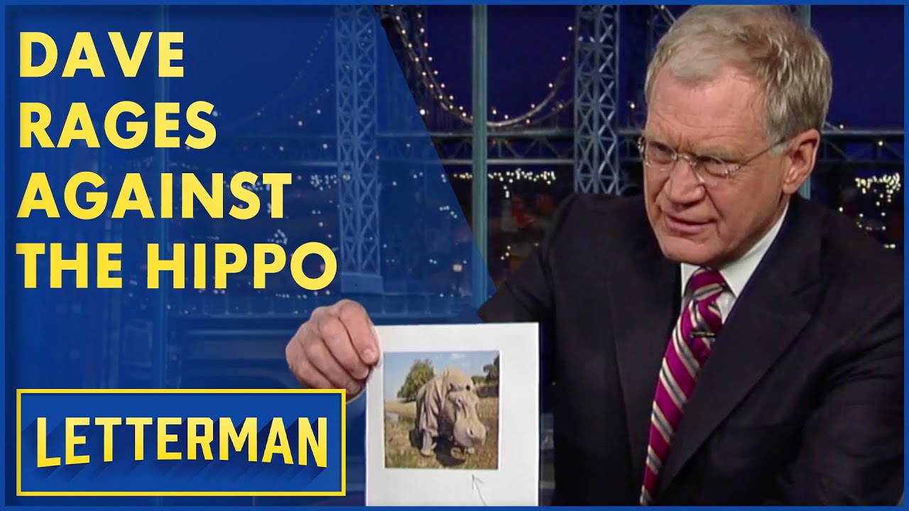 Dave Rages Against The Hippo | David Letterman - YouTube