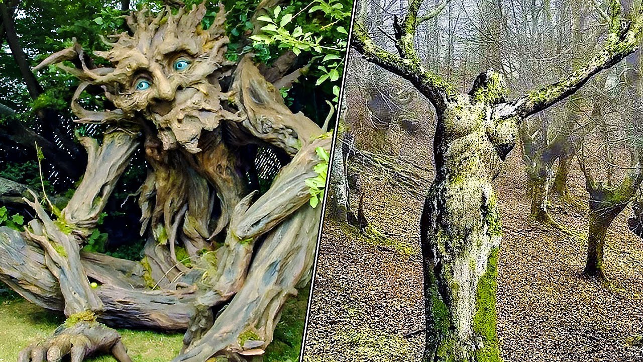 20 Extraordinary Trees That Will Leave You in Awe - YouTube