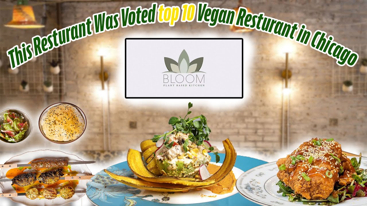 Reviewing a top 10 Rated Chicago Restaurant - YouTube