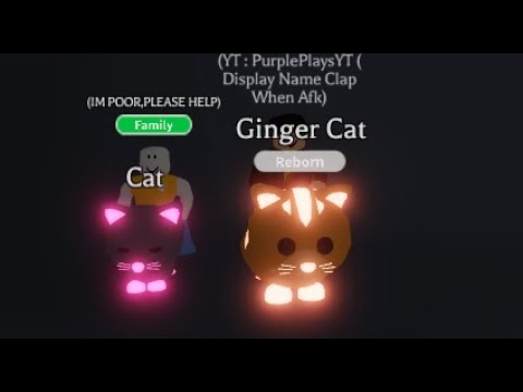 Making a neon ginger cat in adopt me - YouTube