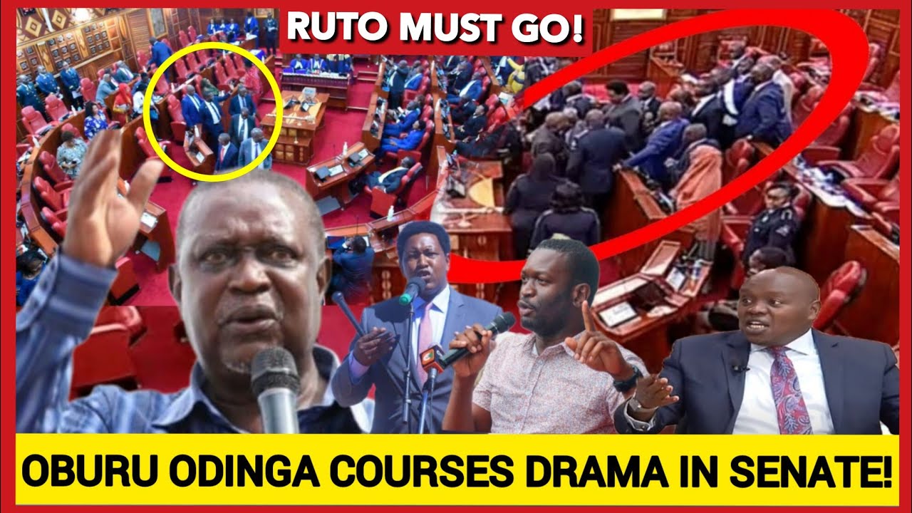Fight Erupts in Senate!! Senator Oburu Oginga Causes Uproar in Senate ...
