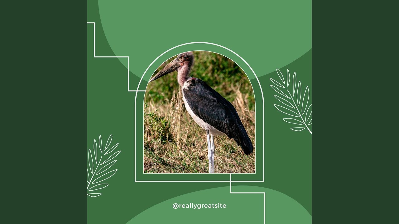 Fashionable Floating Sessions - YouTube