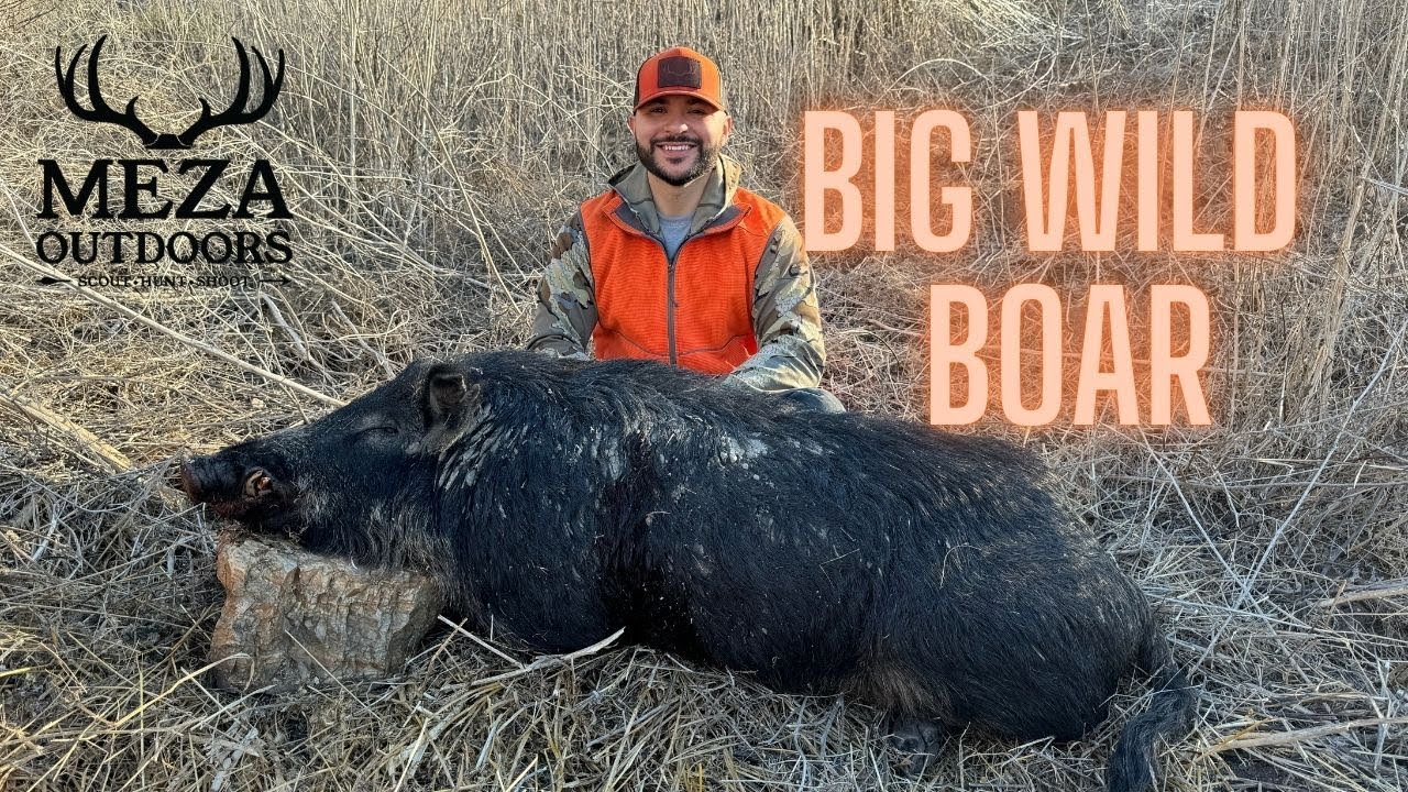 Wild Boar Hunting in California | BIG OLD WARRIOR - YouTube