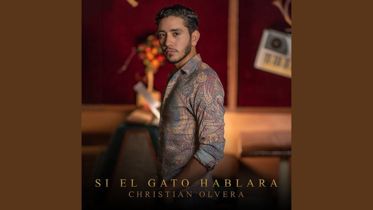 Si El Gato Hablara - YouTube