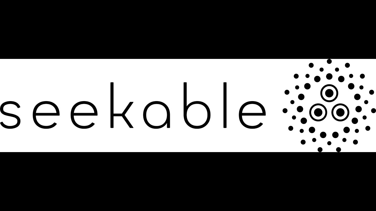 Seekable Video Pitch - YouTube