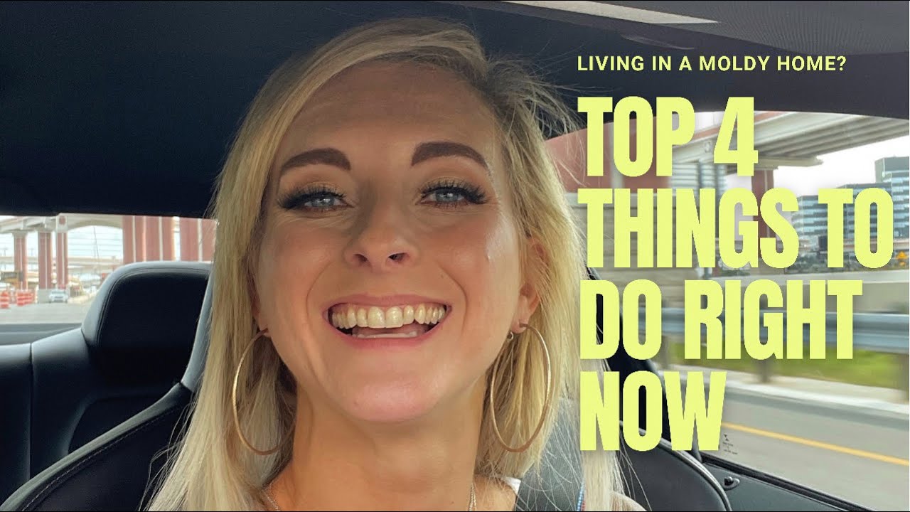 Moldy home? 4 Things To Do Right Now - YouTube