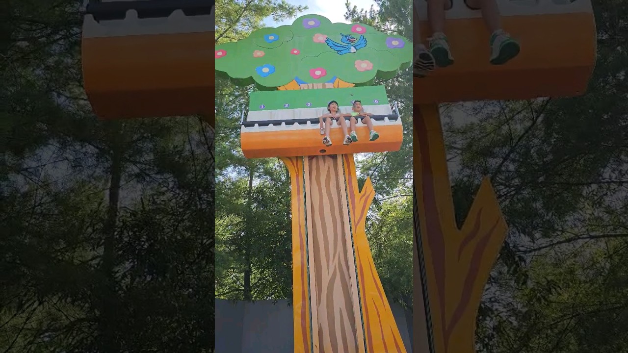 Tree Top Hopper Ride - YouTube