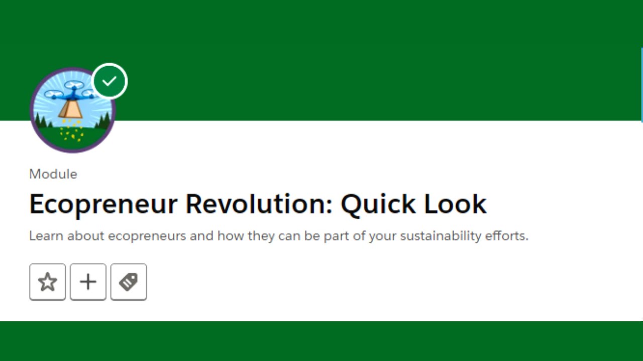 Ecopreneur Revolution Quick - Salesforce Trailhead - YouTube