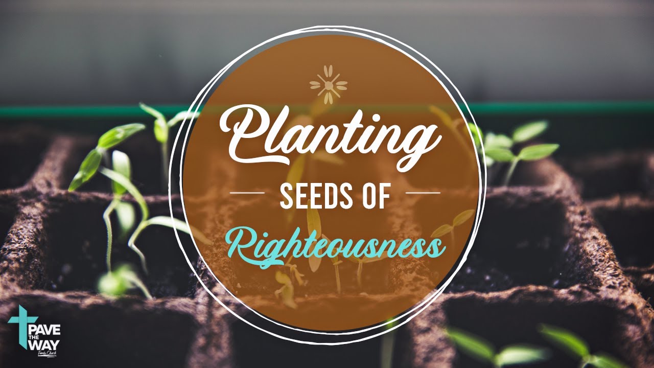 Planting Seeds of Righteousness | Sermon | 12 03 23 | PTWFC - YouTube