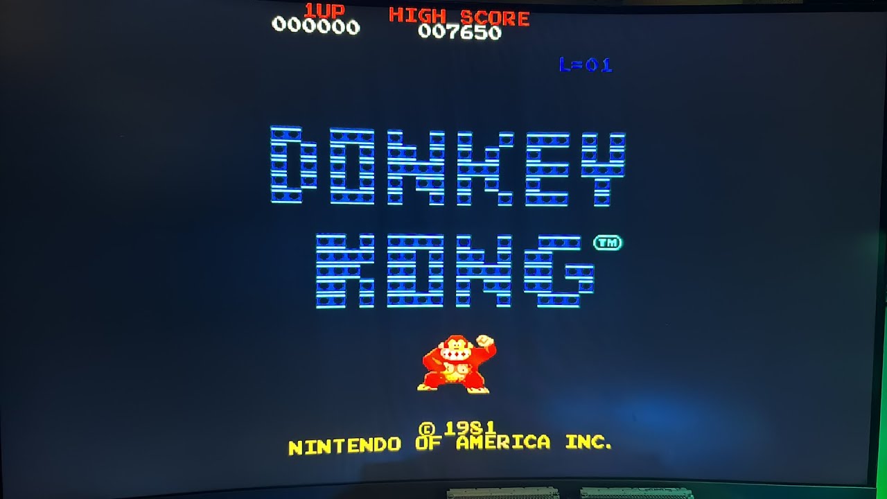 Playing Retro Monkey Video Games for our Escapee Friends in Beaufort ...