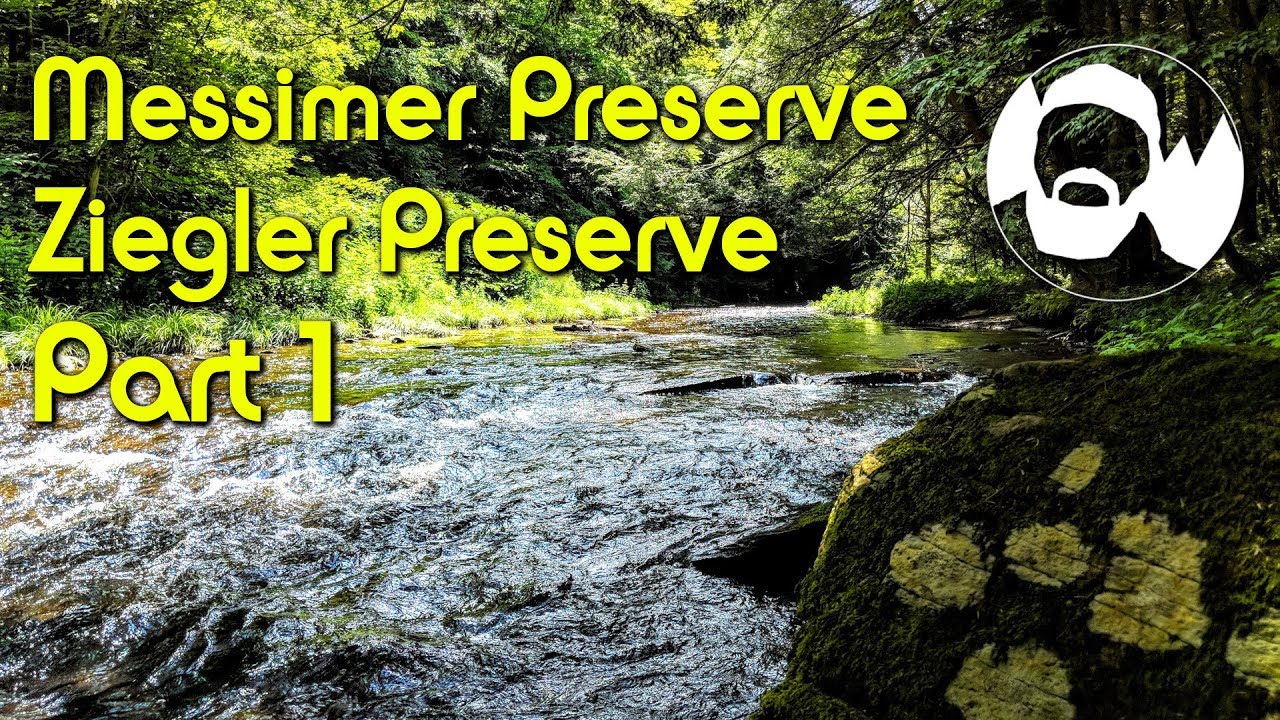 Messimer Ziegler Part 1 - Exploring Local Preserves - YouTube