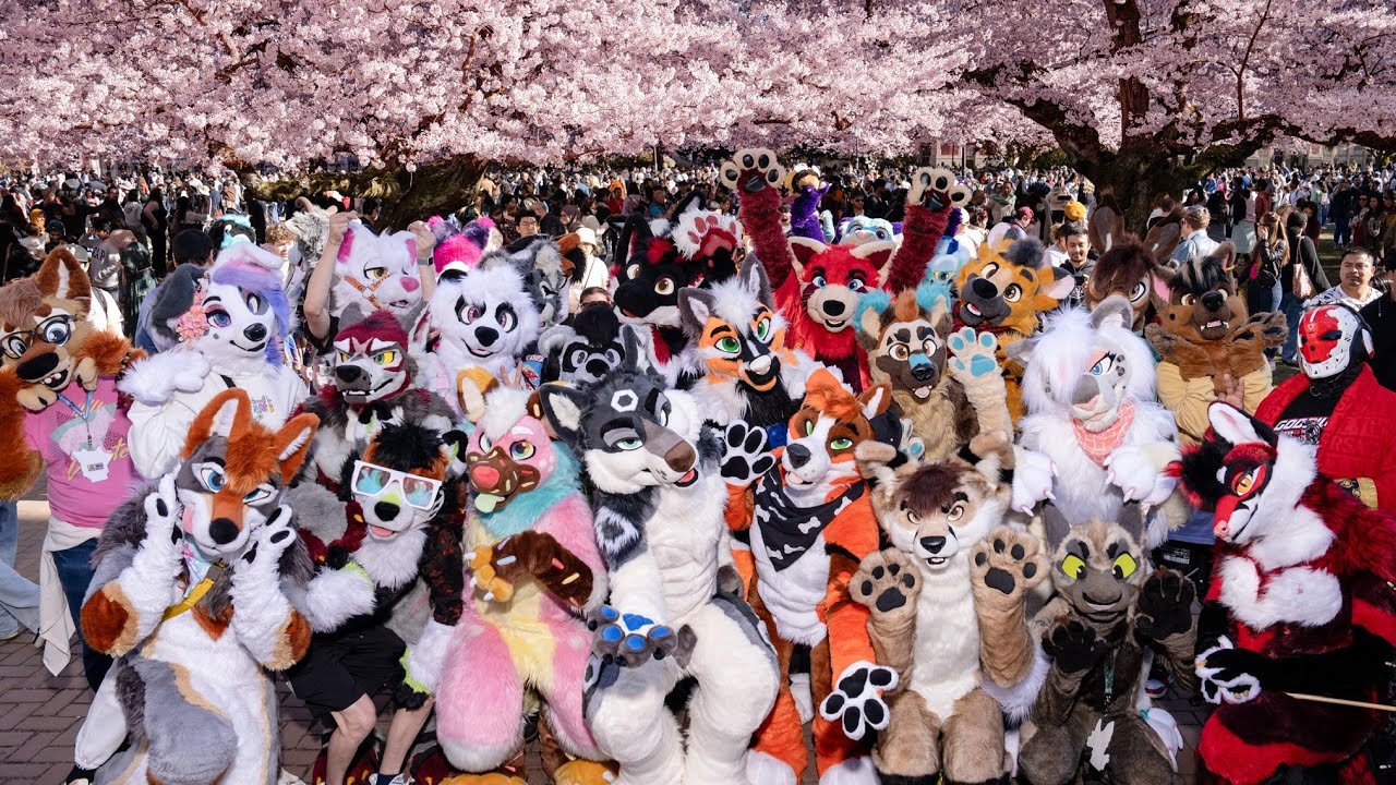 Fursuit Meet at The Quad ft. Samuel Shep - YouTube