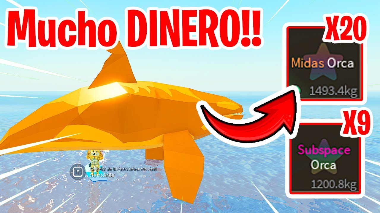 EL MEJOR TRUCO para PESCAR ORCAS MUY RARAS en Fisch!! Roblox - YouTube